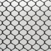 China Square Decorative Cloth Mesh Enhancing Project with Plain Weave for sale