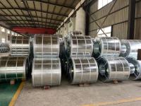 China RoHS Certified GI Coils 0.12mm-4.0mm Customized Thickness Z30-275g Zero Spangle Galvanized Steel Iron Sheet in Roll/Coil for sale