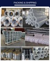 China Galvanized ASTM 0.2mm 0.3mm Z275 High Carbon Steel Hot-Dip Wire with Customize Diameter for sale