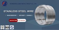 China Stainless Steel Wire 304 304L 316 316L with Punching Processing Service in Customizable Size for sale