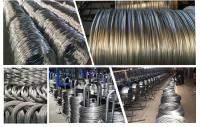 China Construction Materials for 0.5mm 1.0mm 1.5mm High Carbon Hot-Dip Galvanized Iron Wire at Discounted and BS Standard for sale