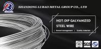 China ASTM/AISI/SGCC/CGCC/TDC51DZM Grade 0.5mm High Carbon Steel Hot-Dip Galvanized Iron Wire for Construction Materials for sale