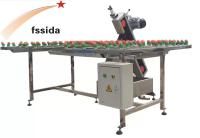 China Glass Belt Grinding Machine 1.5kw 380V Dual Sided Grinding for Glass up to 1500mm for sale