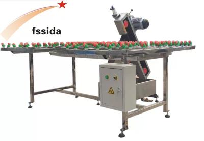 China Glass Belt Grinding Machine 1.5kw 380V Dual Sided Grinding for Glass up to 1500mm for sale