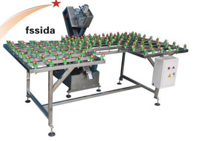 China Glass Edge Polishing Machine with Abrasive Belt Specification L2000 W80mm-100p for sale