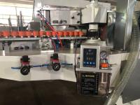 China Double Edge Glass Grinding Machine 20 Spindles 2500mm Width for High Speed Polishing for sale