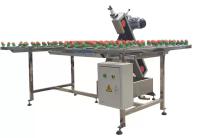 China Low-E Film Removal Manual Glass Edging Machine Two Resin Wheels 160x21x32mm 380V for sale