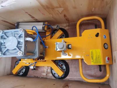 China Electric Glass Lifter 300kg Capacity 110-220V Battery Charge for Vertical Structure for sale