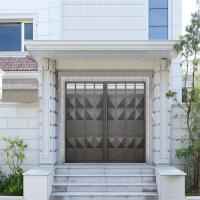 China Commercial Automatic Opening Aluminium Sliding Gates Metal Slat Entrance Door for sale