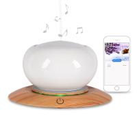 China High Quality Humidifier Aromatherapy Essential Oils Humidifier Smart App Control Music Ceramic Porcelain Aroma Diffuser for sale