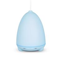China Ultrasonic Essential Oil Diffuser 100ml Electric Aroma Sprayer for Home Office for sale