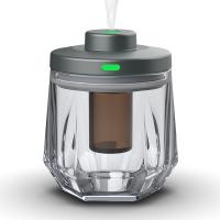 China Rechargeable Waterless Essential Oil Diffuser Nebulizer 30dB Low Noise Portable for Home Car Large Room for sale
