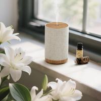 China Fabric Material Aurora Light Aroma Diffuser 100ml Essential Oil Humidifier With USB Cable for Home Use Gift for sale