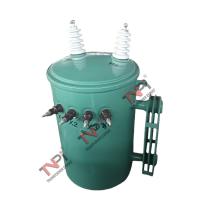 China Pole Mounted Transformer 25-333kVA Oil Immersed Distribution Transformer 13.2kV 34.5kV for sale