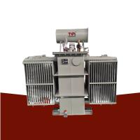 China Three Phase Oil Immersed Power Distribution Transformer 10kv 250kva Step Down for sale