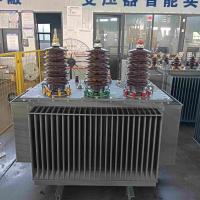 China Nigeria Oil Immersed Distribution Transformer 11kV 33kV Three Phase Power Transformer Supplier for sale
