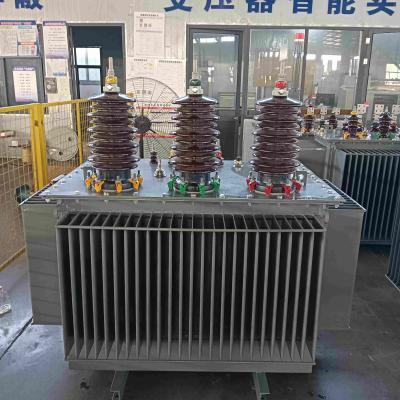 China Nigeria Oil Immersed Distribution Transformer 11kV 33kV Three Phase Power Transformer Supplier for sale