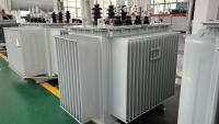 China Energy Efficient Oil Immersed Transformer 100kVA 11kV with CRGO Core for Solar Renewable Energy for sale