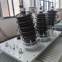 China Tropical Climate Oil Immersed Distribution Transformer 100kVA 11kV for Africa and Southeast Asia Utility Networks for sale