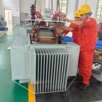 China Tropical Climate Oil Immersed Distribution Transformer 100kVA 11kV for Africa and Southeast Asia Utility Networks for sale