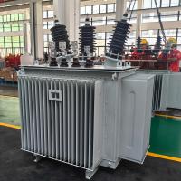 China Tropical Climate Oil Immersed Distribution Transformer 100kVA 11kV for Africa and Southeast Asia Utility Networks for sale