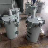 China IEC 60076 & Philippine PNS Standard Distribution Transformer for sale