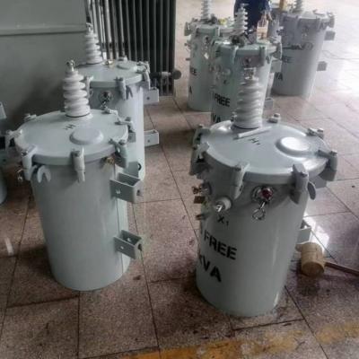 China IEC 60076 & Philippine PNS Standard Distribution Transformer for sale