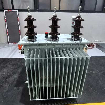 China 13.8kV Pole Mounted Distribution Transformer Fully Sealed Anti-Corrosion Lightning Resistant for Rural Electrification for sale