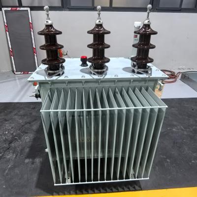 China Dual HV Oil Transformer 22/33kV 11/0.415kV for African Mining, Cement and Heavy Industrial Power Systems for sale