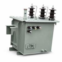 China Oil Immersed Distribution Transformer 13.8kV 300kVA for Power Grid Rehabilitation and Replacement Projects in Venezuela for sale