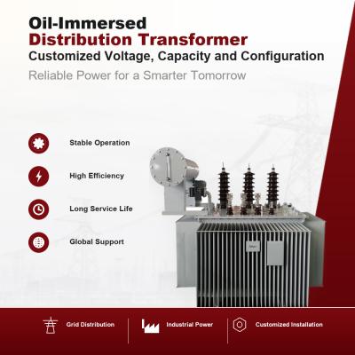 China 23kV Oil Immersed Distribution Transformer for Mexican Utility and Industrial Projects for sale