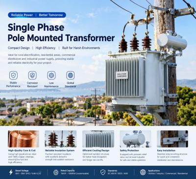 China Custom Oil Immersed Distribution Transformer Manufacturer for Mexico OEM Projects for sale