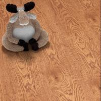 China Belgium Made Laminate Flooring for Project Solution Capability and Graphic Design for sale