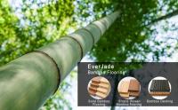 China Add a Touch of Modern Elegance with Charcoal Design Style Eco Forest Bamboo Flooring for sale