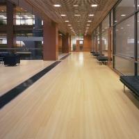 China Hospital Grade Xingli Eco-Friendly Til Suppliers for Small Hot Press Bamboo Flooring for sale