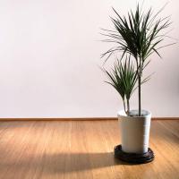 China 14mm Extra Wide Engineered Stranded Bamboo Parquet Flooring with Varnish from Germany for sale
