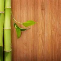 China Carbonized Wood Timber Flooring Standard Bamboo Wall Panel Solid Bamboo Flooring for sale