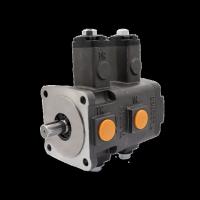 China VP Series Variable Displacement Hydraulic Vane Pump VP22 for sale