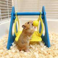 China Colorful Blue-Yellow Hamster Hanging Swing Toy, 3D printed Pet Accessories Interactive Play Toy for Small Pets for sale