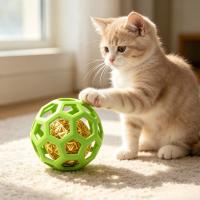 China Hollow Dodecahedron 3D Printed Pet Accessories 5cm Daily  Interactive Dog Toy Ball for sale