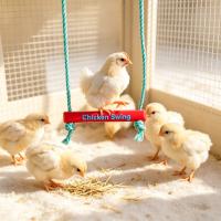 China Non Slip Chicken Pet Accessories Adjustable Rope Swing Duck Poultry Entertainment for sale