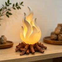 China Campfire Flame 3D Printed Lighting Fixtures, Warm LED Table Night Light for sale