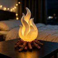 China Campfire Flame 3D Printed Lighting Fixtures, Warm LED Table Night Light for sale