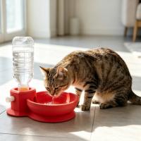 China Custom Colors 3d Print Dog Accessories 0.05 - 0.3mm Layer Water Feeder For Home Daily for sale