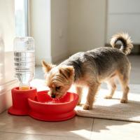 China Custom Colors 3d Print Dog Accessories 0.05 - 0.3mm Layer Water Feeder For Home Daily for sale