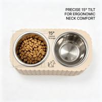 China Whisker Friendly Elevated Cat Feeding Stand Tilted Bowls Space Saving Detachable Design for Indoor Cats for sale