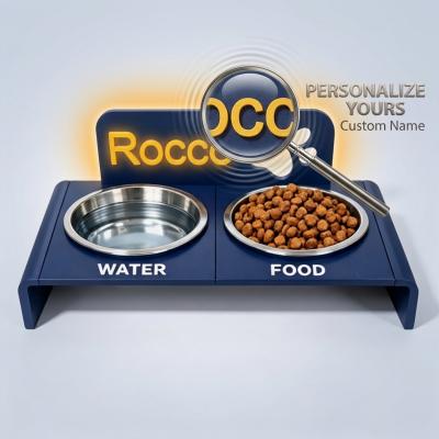 China Custom Name Elevated Dog Feeding Station Detachable Stainless Steel Bowls Non Slip Stand for Dogs for sale