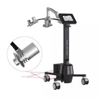 China Green Color Weight Loss Equipment 6d Laser Burns Fat Permanently Removal 300MW for sale