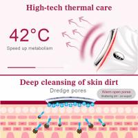 China Handheld Gua Sha Scraping Vibrating Electric And Rejuvenation Neck Lifting Skin Care Machine for sale