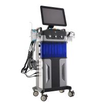 China Professional 12 in 1 Hydra Master Facial Care Skin Polishing hydro dermabrasion machine for sale